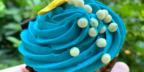 Patent Blue V, patent blue v dye Manufacturer, Exporter In India